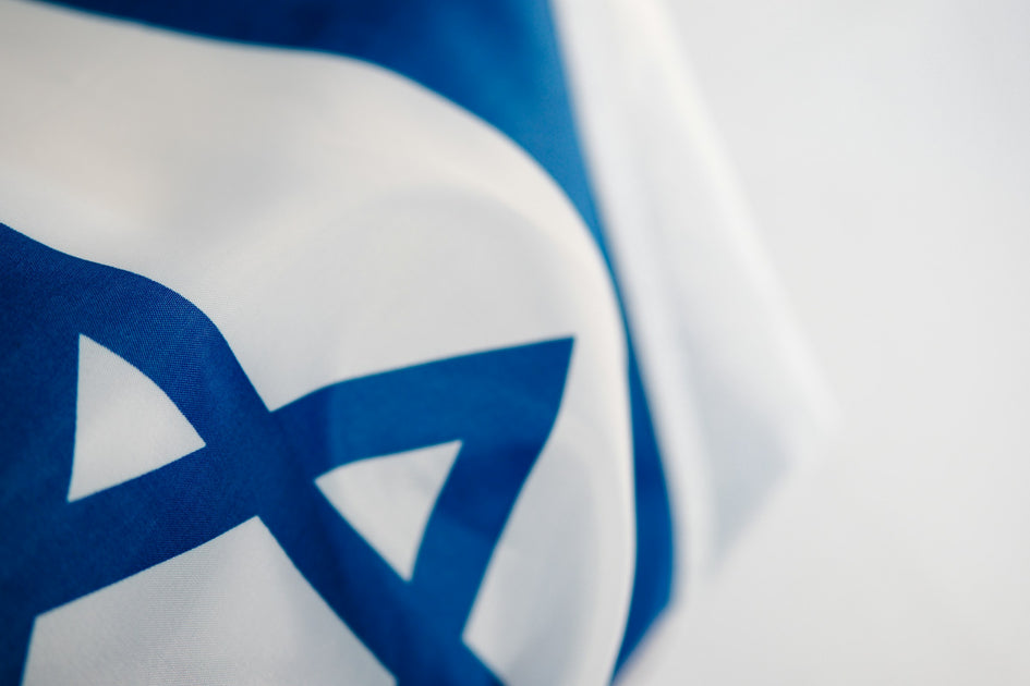 Alpha Epsilon Phi: A Philanthropic Jewish Sorority | Senior Class ...